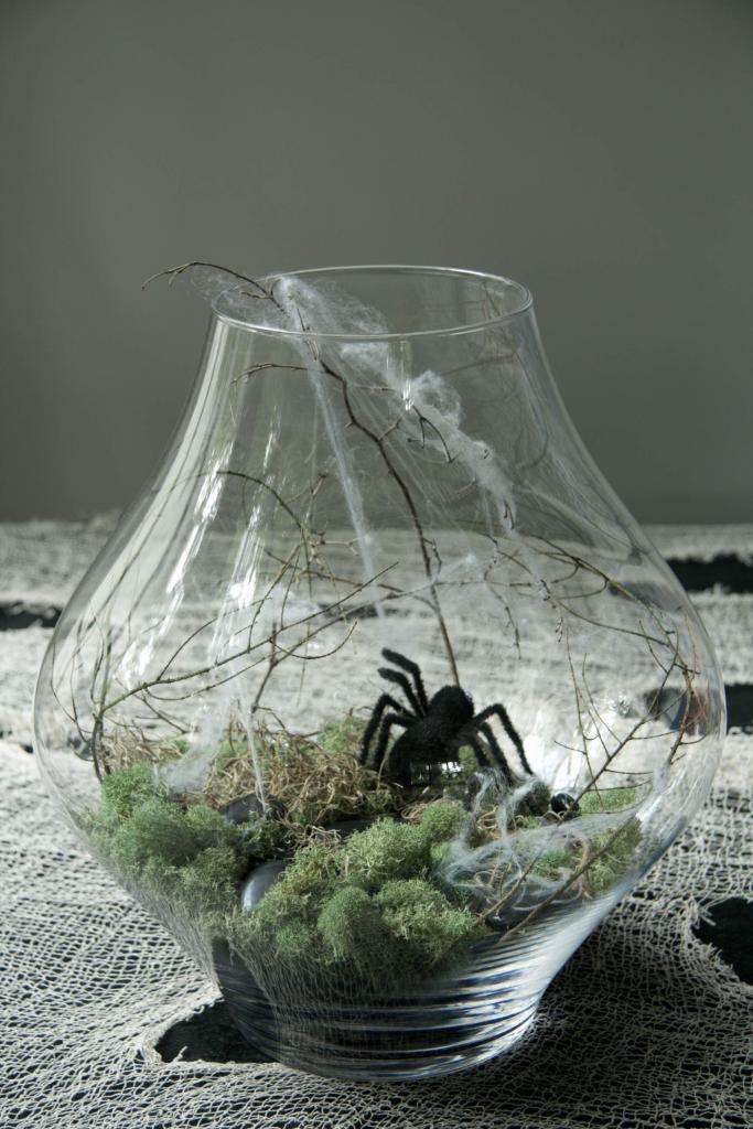 DIY Spooky Terrarium | Ridgely's Radar